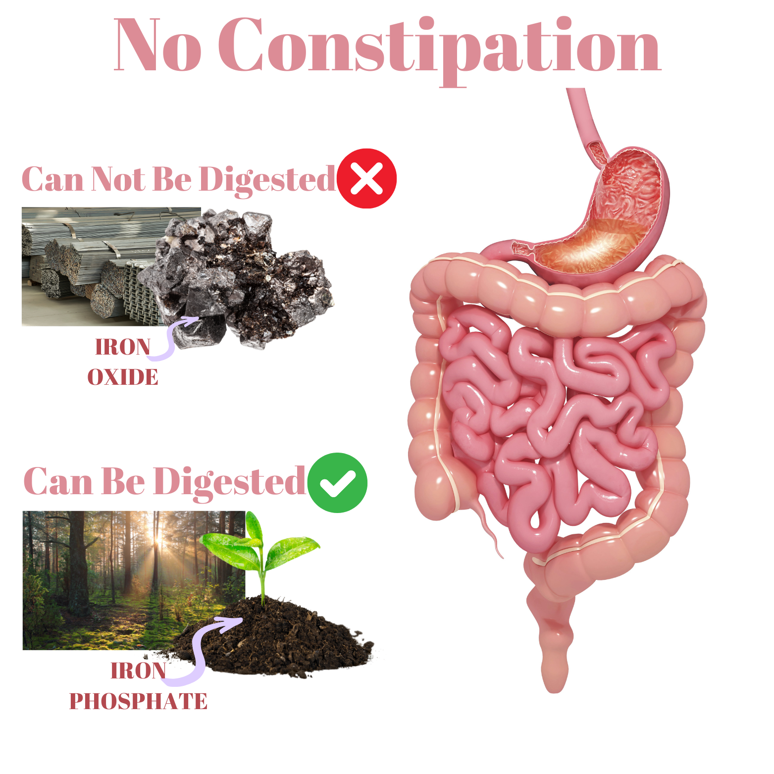 Energy & Recovery – cwbotanicalclub.com